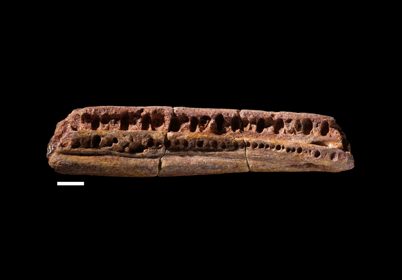 Year of Coasts and Waters 2020/21 - Elgin Museum