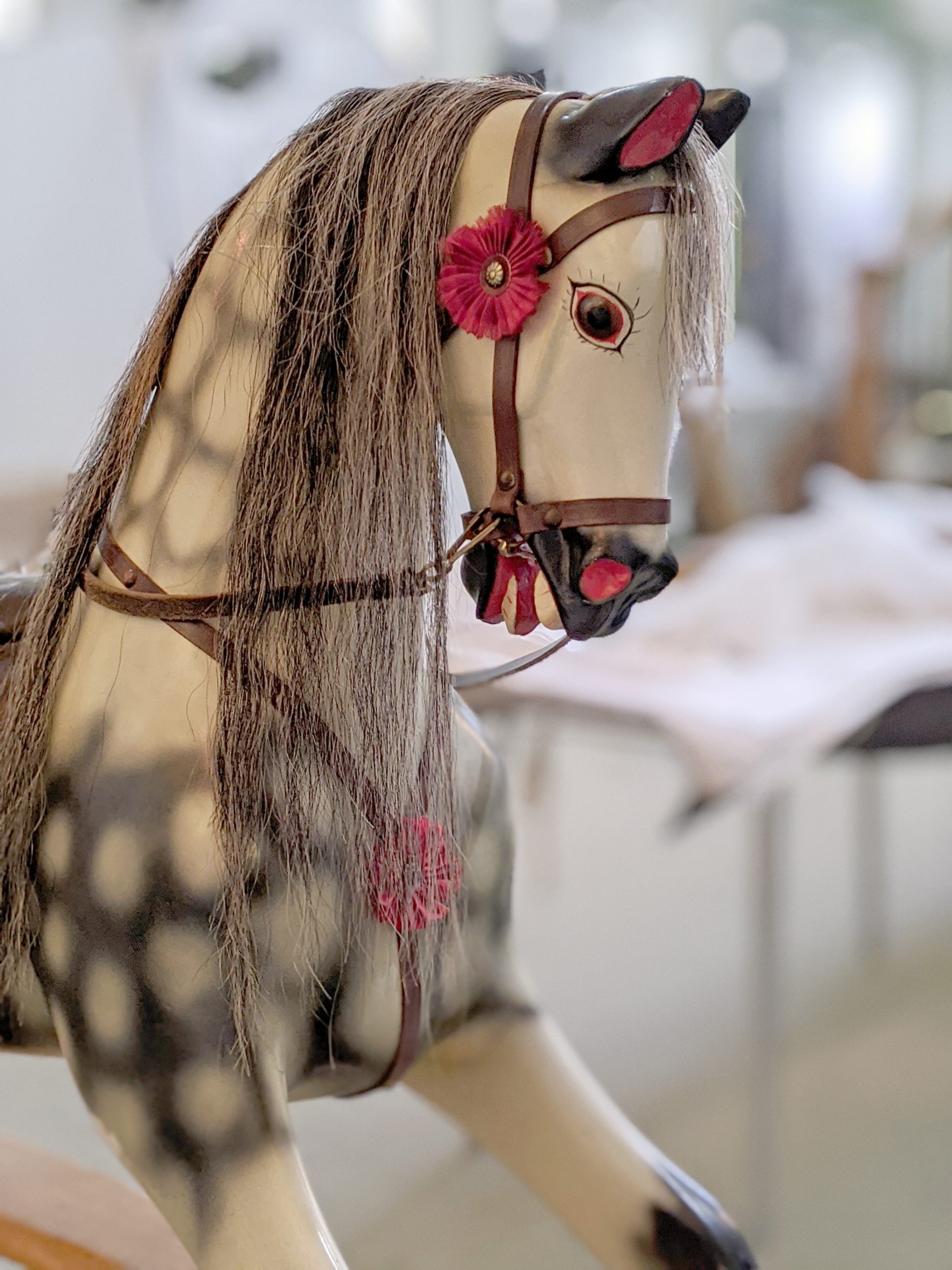 Museum Musings - Elgin Museum