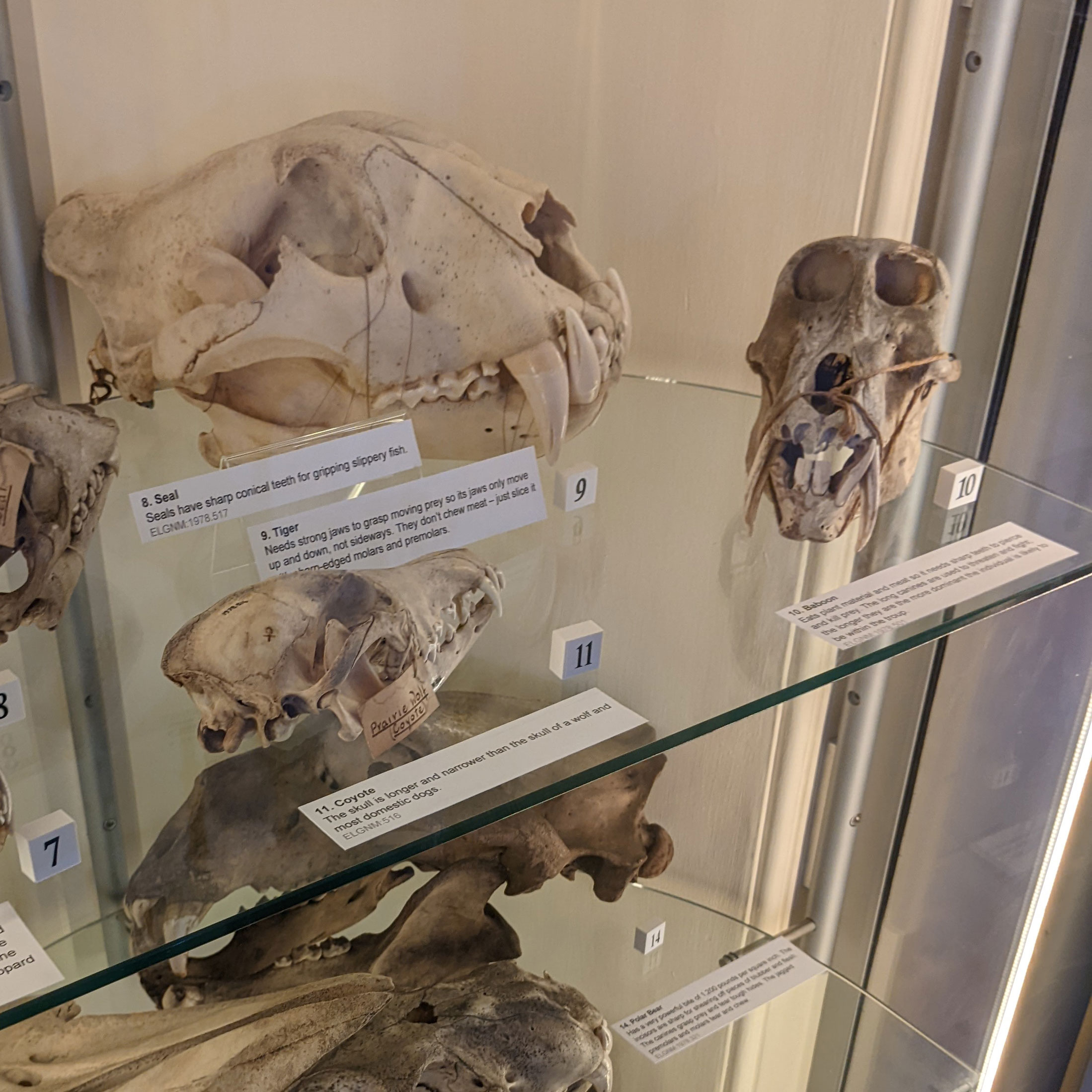 Policies - Elgin Museum